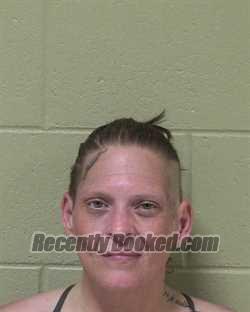 Recent Booking / Mugshot for AMY LYNN WOOLFORD in Delta County, Michigan