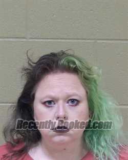 Recent Booking / Mugshot for ASHLEY MARIE CRONICK in Delta County, Michigan