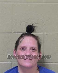 Recent Booking / Mugshot for AMY LYNN WOOLFORD in Delta County, Michigan