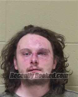 Recent Booking / Mugshot for DRAYDON JOSEPH-JOHN GODFREY in Delta ...