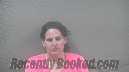 Recent Booking / Mugshot for MELISSA RENEE CARNEY in Dickinson County ...