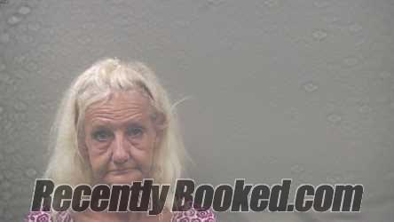 Tammy Kay Thone Arrest & Booking Info | Dickinson County, MI