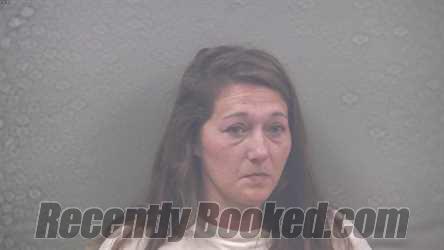 FELICIA RAE MICHAUD Arrest Record & Booking Info – Dickinson County ...
