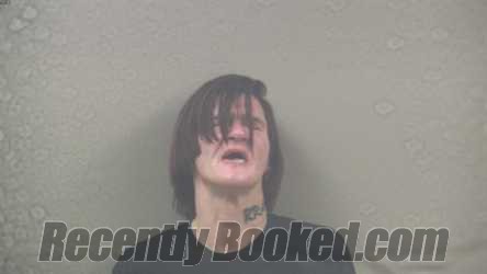 Recent Booking / Mugshot for JENNIFER MARIE KEISER in Dickinson County ...