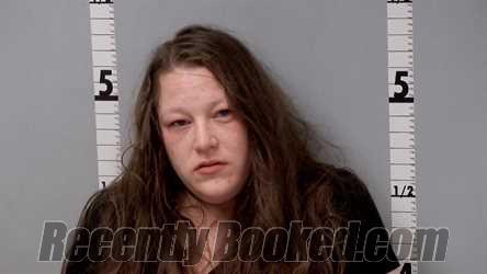 Recent Booking / Mugshot for JAMIE LEE WILLIAMS in Gratiot County, Michigan
