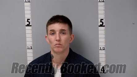 Recent Booking / Mugshot for KYLEE RAE PETERSON in Gratiot County, Michigan