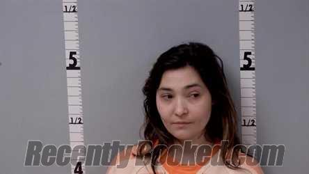 Recent Booking / Mugshot for LISA MARIE DAVIS in Gratiot County, Michigan