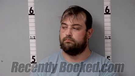Recent Booking / Mugshot for WALDEMAR AARON WIELAND in Gratiot County ...