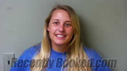 Recent Booking / Mugshot for Abby Jo Brewer in Hillsdale County, Michigan