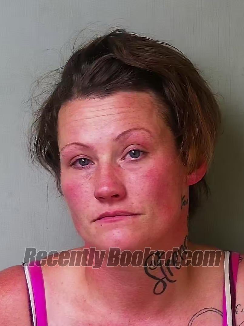 Recent Booking / Mugshot for Allison Leemarie Qualls in Hillsdale ...