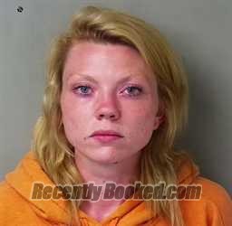 Alexis Elizabeth Schultz Arrest Record & Booking Info – Hillsdale ...