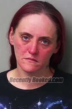 Recent Booking / Mugshot for Brittney Anne Brazeal in Hillsdale County ...