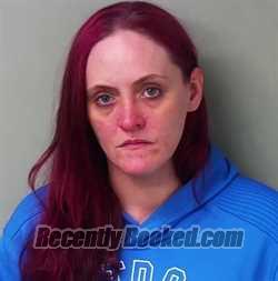 Brittney Anne Brazeal Arrest & Booking Info | Hillsdale County, MI