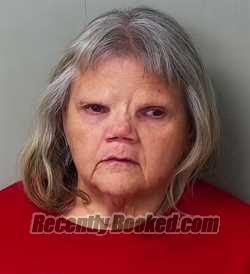 Recent Booking / Mugshot for Cindy Lou Wheeler in Hillsdale County, Michigan