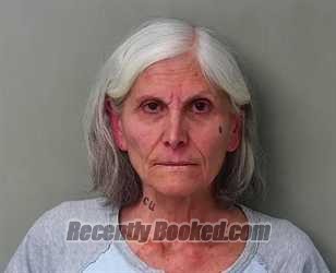 Recent Booking / Mugshot for Deborah Olive Reinecke in Hillsdale County ...