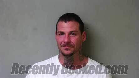 Recent Booking / Mugshot for David Joseph Schultz in Hillsdale County ...