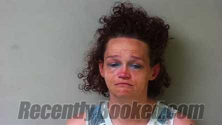Recent Booking / Mugshot for Daniell Aaron Sheely in Hillsdale County ...