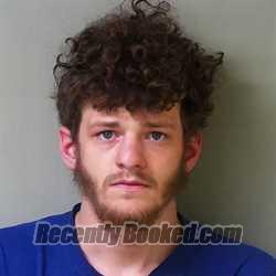 Recent Booking / Mugshot for Ethan Andre Goodrow in Hillsdale County ...