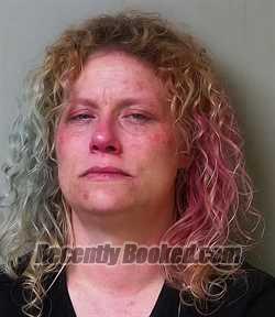 Recent Booking / Mugshot for Jessica Mae Barker in Hillsdale County ...