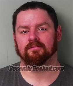 Recent Booking / Mugshot for Justin Elliot Palmer in Hillsdale County ...