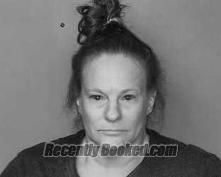 Recent Booking / Mugshot for Jennifer Ann Peiffer in Hillsdale County ...