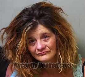 Recent Booking / Mugshot for Jennifer Marie Shoffner in Hillsdale ...