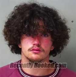 Recent Booking / Mugshot for Logan Lee Rudd in Hillsdale County, Michigan