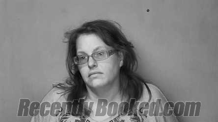 Recent Booking / Mugshot for Marcell Kristen Bell in Hillsdale County ...
