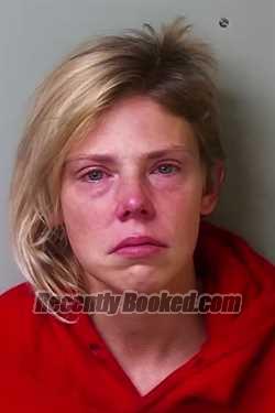 Recent Booking / Mugshot for Mindy Sue Flowers in Hillsdale County ...