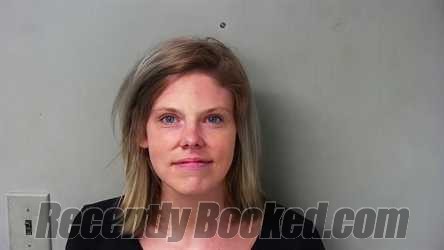 Recent Booking / Mugshot for Mindy Sue Flowers in Hillsdale County ...