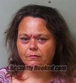 Recent Booking / Mugshot for Melissa Kay Shelts in Hillsdale County ...