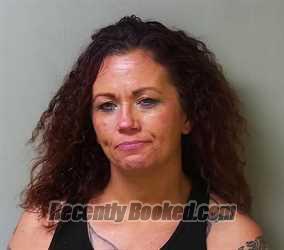 Recent Booking / Mugshot for Nicole Marie Ruffin in Hillsdale County ...