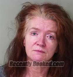Recent Booking / Mugshot for Patty Lynn Dunaway in Hillsdale County ...