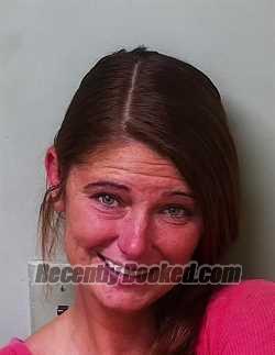 Recent Booking / Mugshot for Rachel Marie Davis in Hillsdale County ...