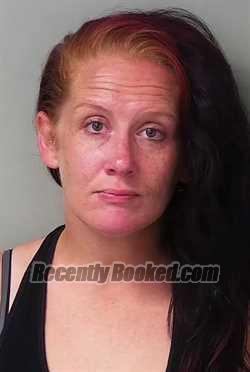 Recent Booking / Mugshot for Raquel Lynn Rowe in Hillsdale County, Michigan