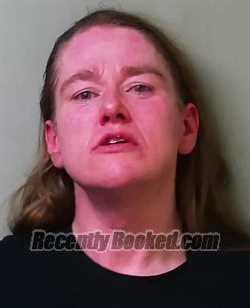 Recent Booking / Mugshot for Sarah Ann Gray in Hillsdale County, Michigan