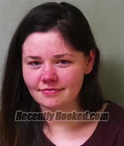 Recent Booking / Mugshot for Shadow Dawn Riddle in Hillsdale County ...