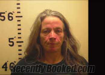 Recent Booking / Mugshot for MARY PATRICIA DONOHUE in Person County ...