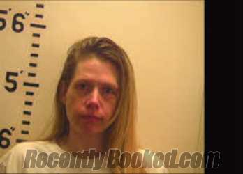 Recent Booking / Mugshot for STEPHANIE ANN ADCOCK in Person County ...