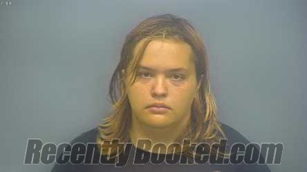 Recent Booking / Mugshot for ABBYGAYLE ELIZABETH CURRAN in Isabella ...