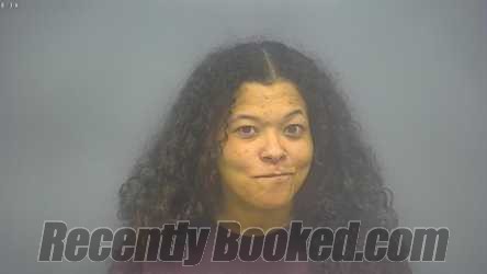 CHEYENNE LORETTA FALLIS Arrest Record & Booking Info – Isabella County ...