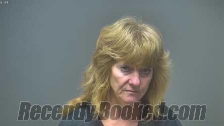 Recent Booking / Mugshot for CARLA ANN WEITZEL in Isabella County, Michigan