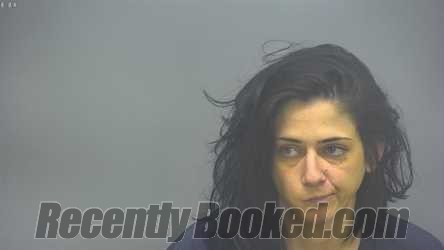 ERIN LOUISE BETTS Arrest Record & Booking Info – Isabella County ...