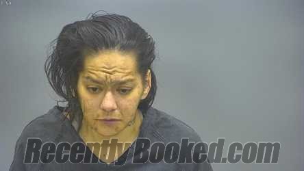 Recent Booking / Mugshot for ELIZABETH ANNMARIE MCGESHICK in Isabella ...