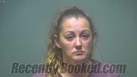 Recent Booking / Mugshot for JENNIFER REBECCA HARRIS in Isabella County ...