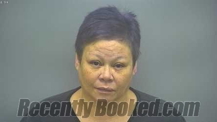 Recent Booking / Mugshot for KOURTNEY ROBYN HART in Isabella County ...
