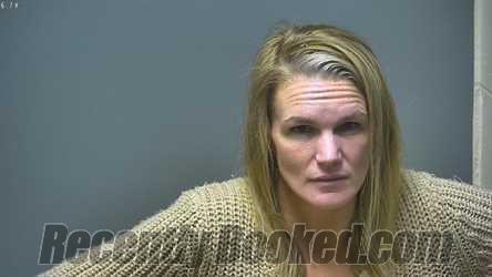 Recent Booking / Mugshot for KATIE ANN PIERRET in Isabella County, Michigan