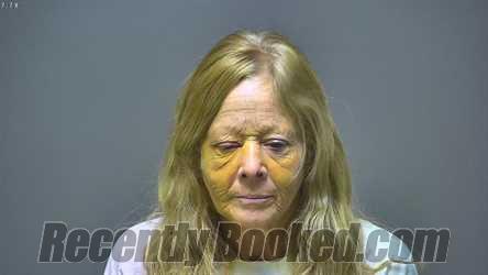 Recent Booking / Mugshot for LAUREEN FAY COOK in Isabella County, Michigan