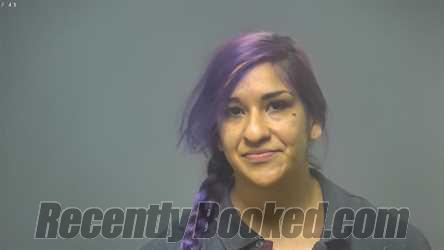Recent Booking / Mugshot for MARIA ELENA CARAPIA in Isabella County ...