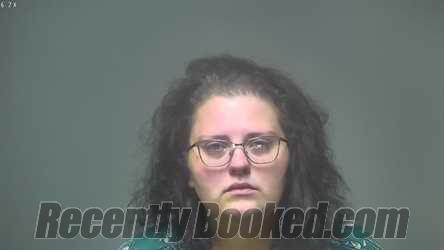 Recent Booking / Mugshot for MEGAN KATHRYN COOK in Isabella County ...